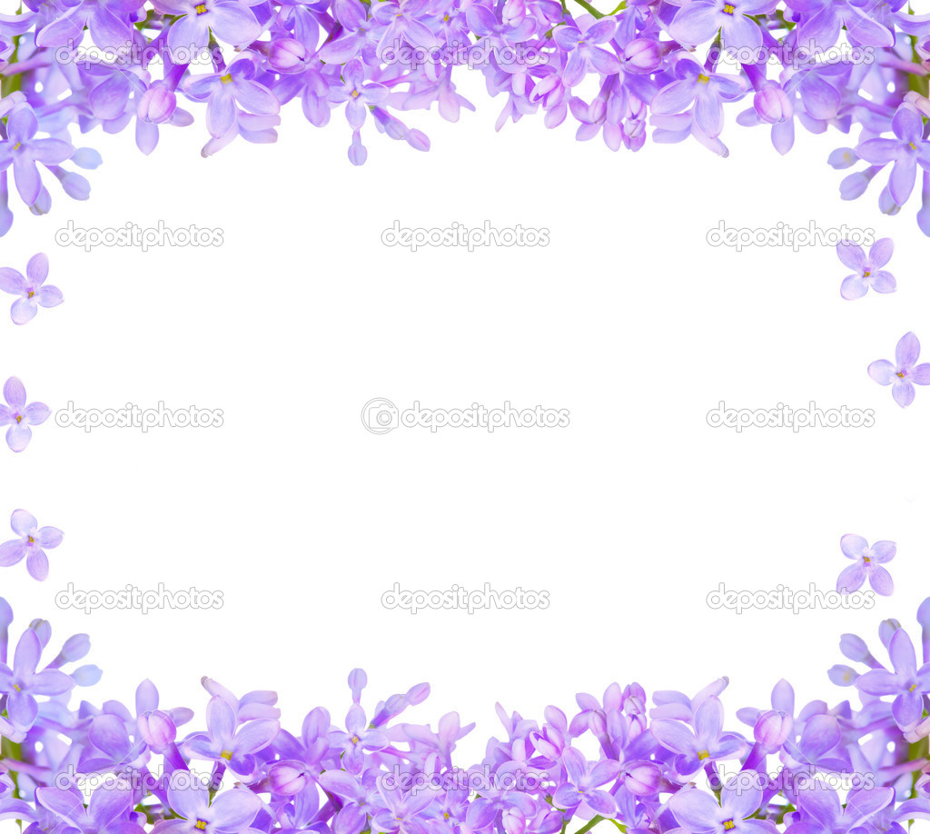 marco aislado flores Lila — Foto de stock © Dr.PAS #24181411