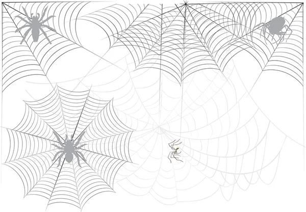 Spider webs Vector Art Stock Images | Depositphotos
