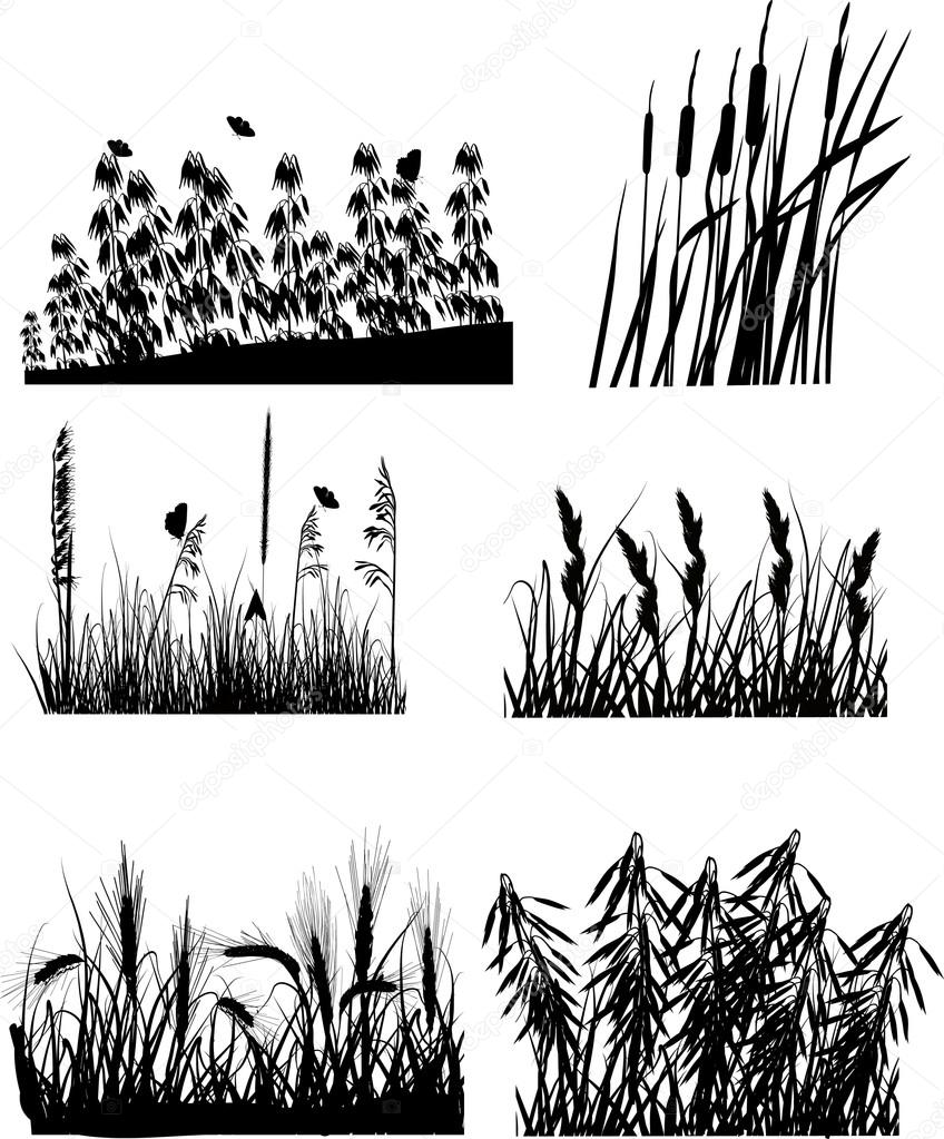 Set of six different plants silhouettes isolated on white ⬇ Vector ...