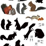 squirrels silhouette — Stock Vector © Dr.PAS #55579277