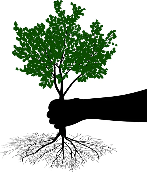 100,000 Plant roots Vector Images | Depositphotos