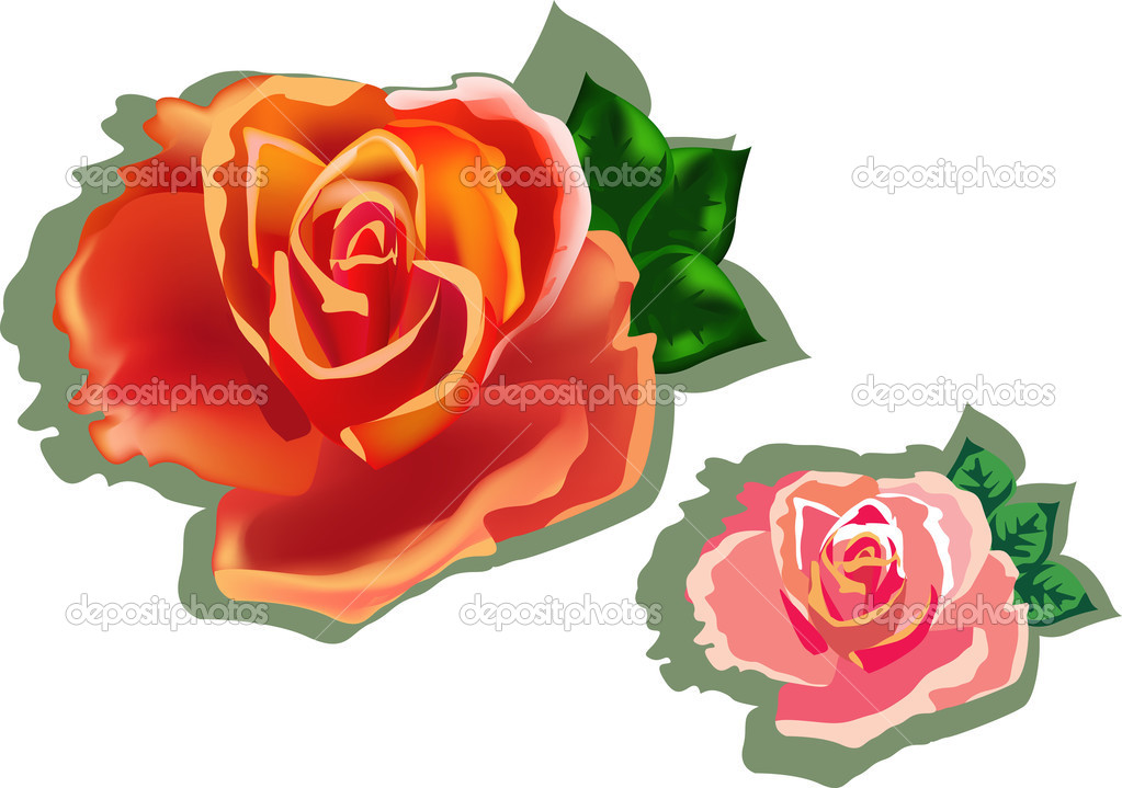 Two roses isolated on white with leaves Stock Vector Image by ©Dr.PAS ...