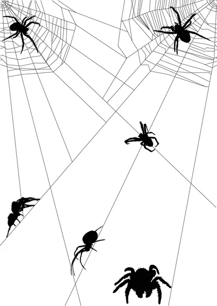 Three spiders in web illustration Stock Vector Image by ©Dr.PAS #6650632