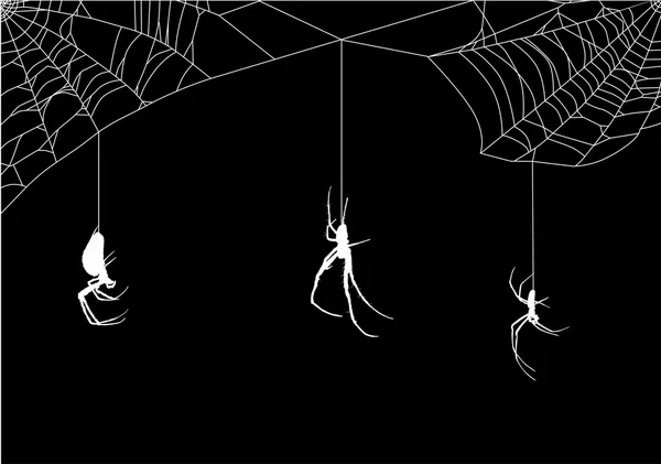 Three spiders in web illustration — Stock Vector © Dr.PAS #6650632