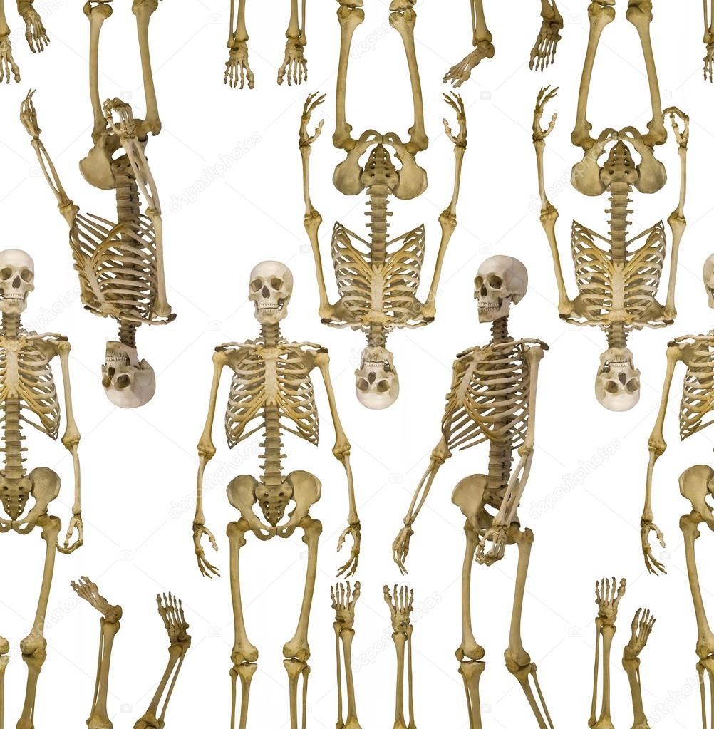 Background from human skeletons Stock Photo by ©Dr.PAS 36748939