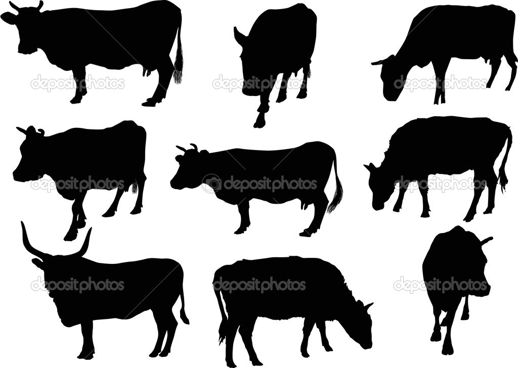 Nine cows silhouettes isolated on white Stock Vector Image by ©Dr.PAS ...