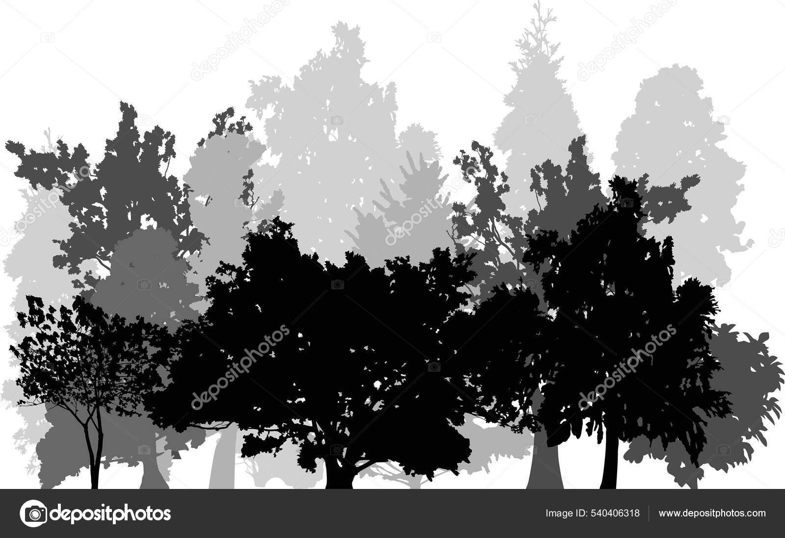 Illustration Grey Forest Isolated White Background Stock Vector by ©Dr ...
