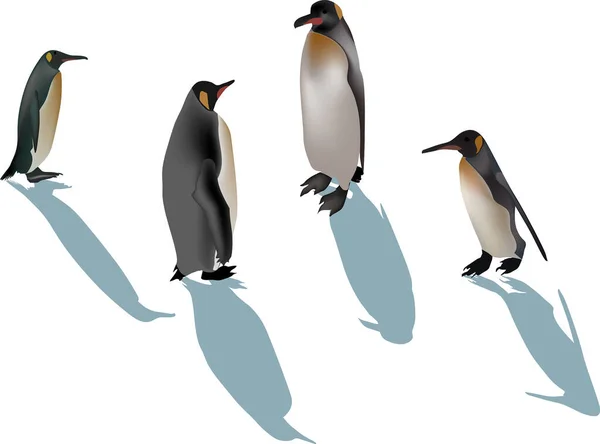 10,988,975 Happy feet penguin Vector Images | Depositphotos