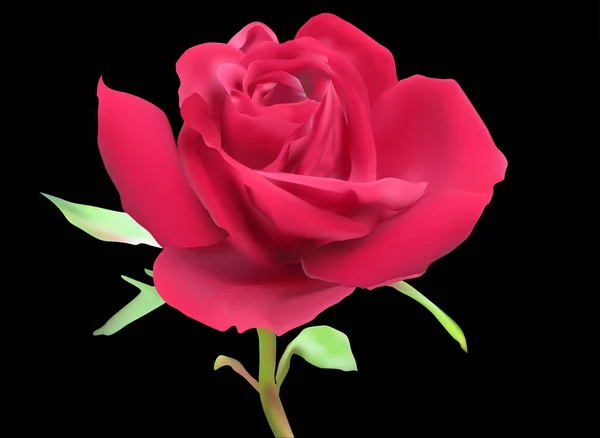 100,000 3d rose Vector Images | Depositphotos