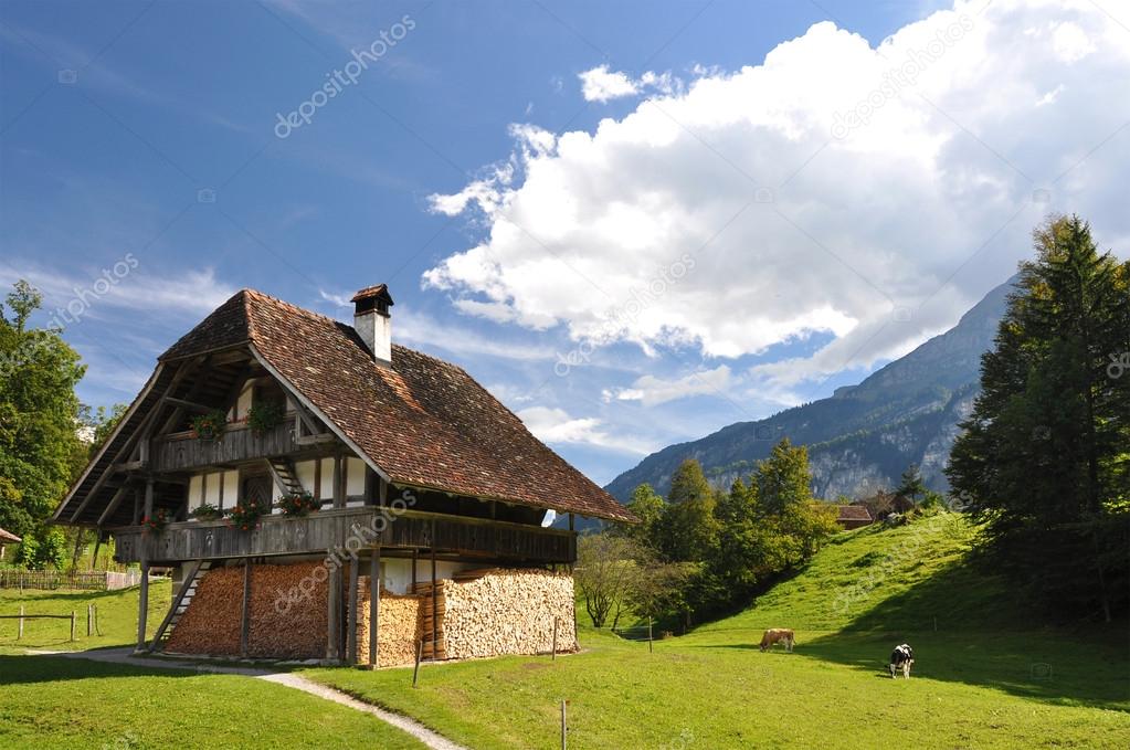 Switzerland Farm Houses