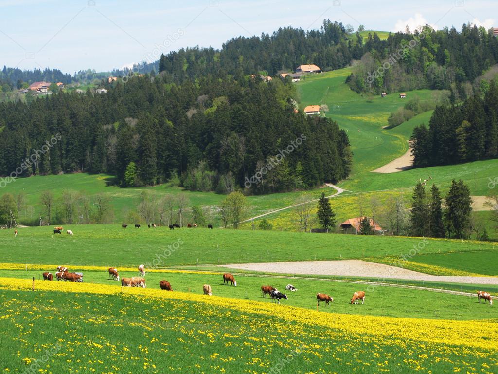 Spring in Emmen valley (Emmental), Switzerland — Stock Photo ...