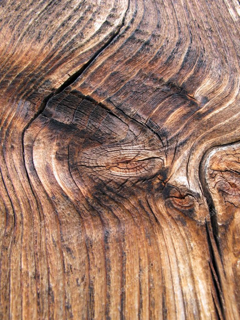 Venas alquitranadas: fotografía de stock © happyalex #21084469 ...