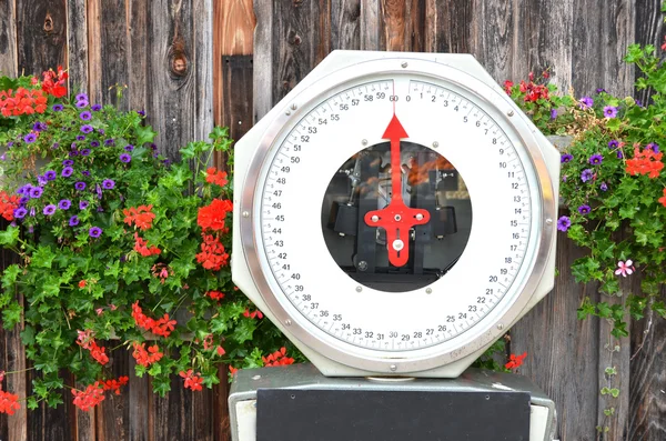 Weighs Stock Photos, Royalty Free Weighs Images | Depositphotos®