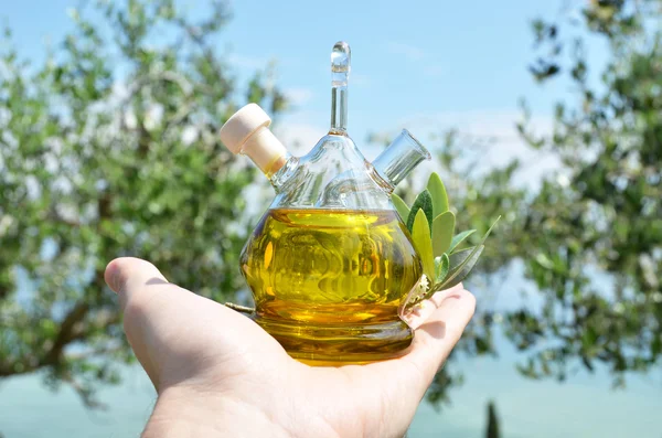 Olive oil in hand - Stock Image - Everypixel