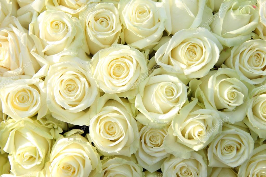 Group of white roses, wedding decorations Stock Photo by ©portosabbia ...