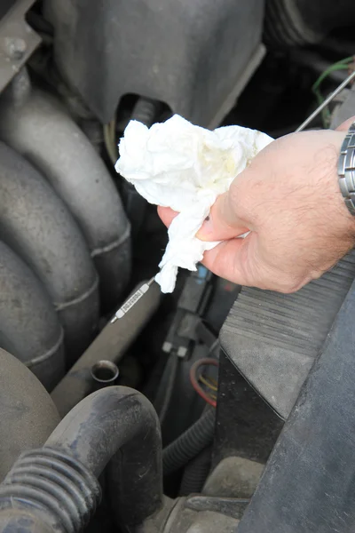 Changing oil filter Stock Photos, Royalty Free Changing oil filter ...