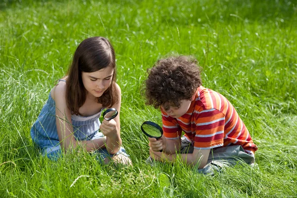 Kids using magnifying glass Stock Photo by ©gbh007 32837493