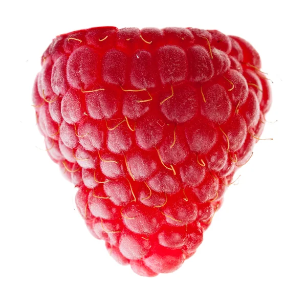 Big raspberry — Stock Photo © gbh007 #1647288