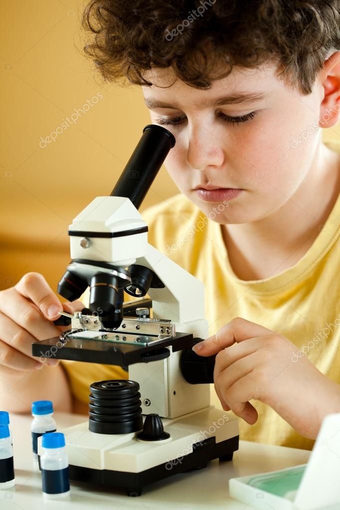 Boy examining preparation Stock Photo by ©gbh007 33428387