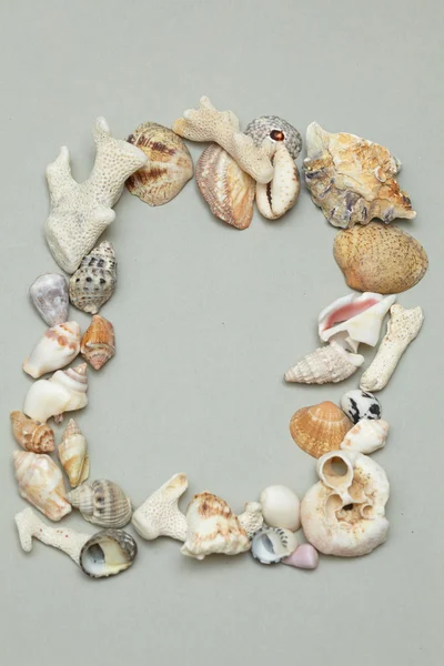Frame of shells in sand Stock Photo by ©zamula 3736128