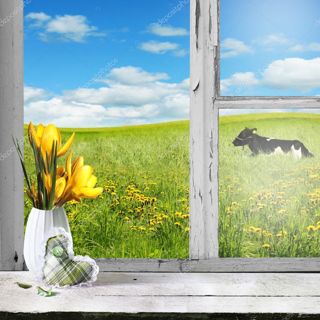 Spring flowers lawn and green trees seen through the old window ...