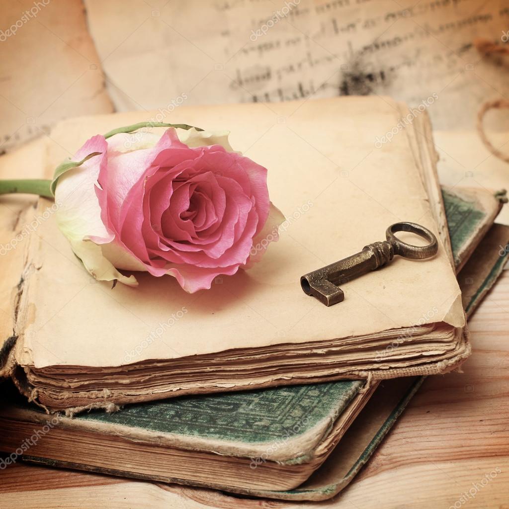 Pink rose on an old book (vintage) — Stock Photo © alga38 #39557697