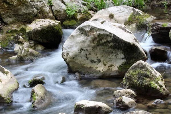 Stream water with rocks spring season - Stock Image - Everypixel