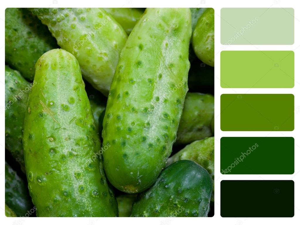 Green cucumbers colour palette swatch Stock Photo by ©REDPIXEL 22055909