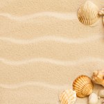 Sea shells with sand as background Stock Photo by ©smaglov 7676864