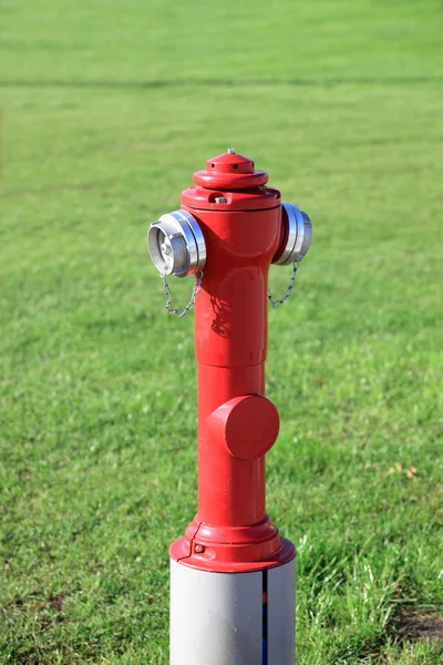 Fire Hydrant - Stock Image - Everypixel