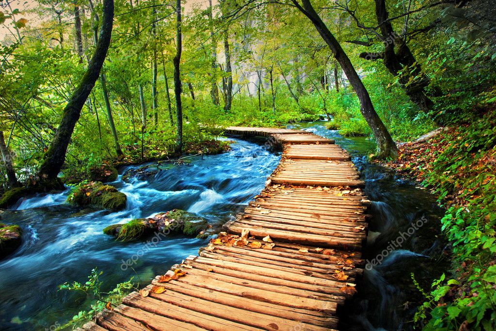 Arroyo profundo del bosque. Agua cristalina. 2022