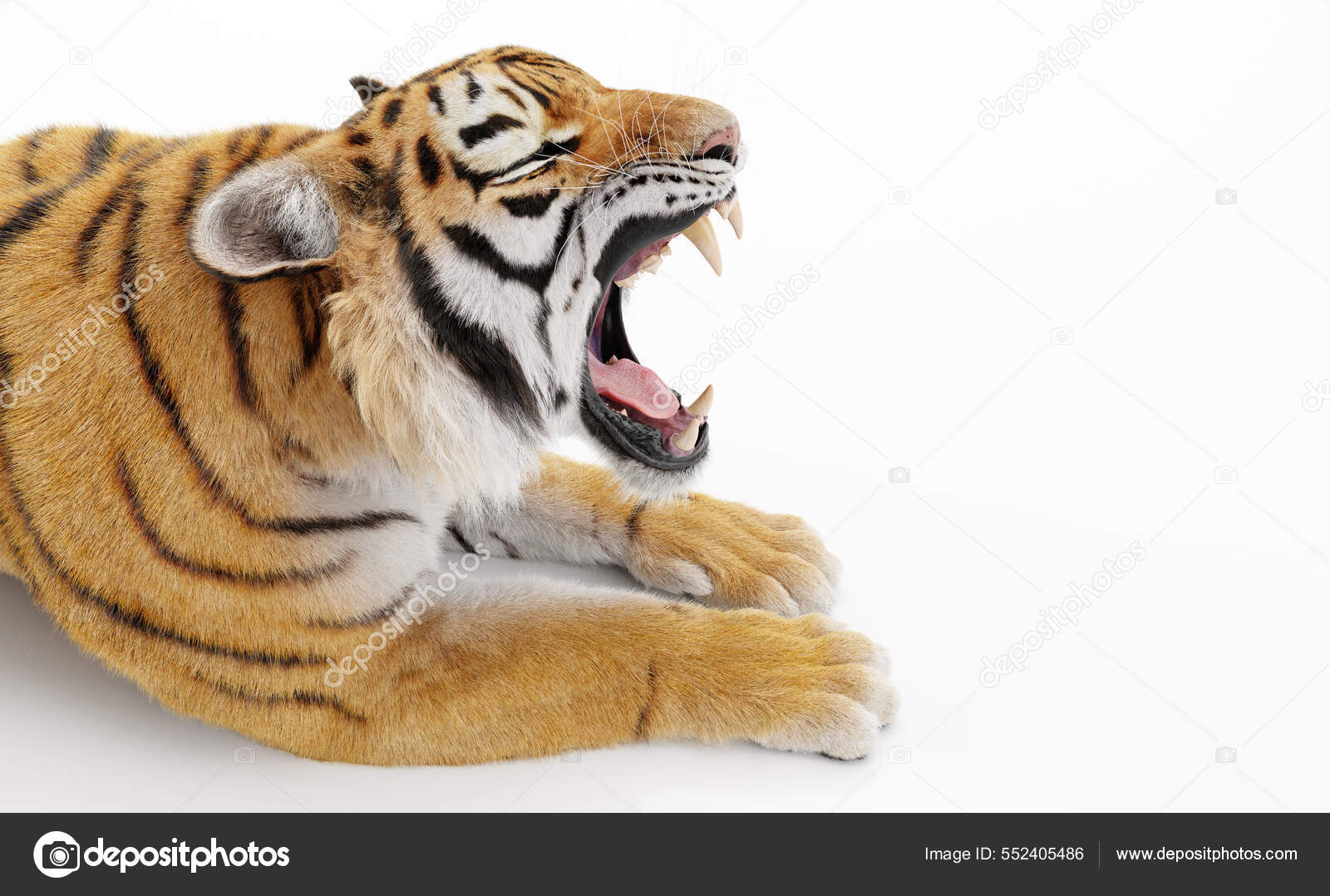 Tiger Roaring Portrait Isolated White — Stock Photo © Photocreo #552405486