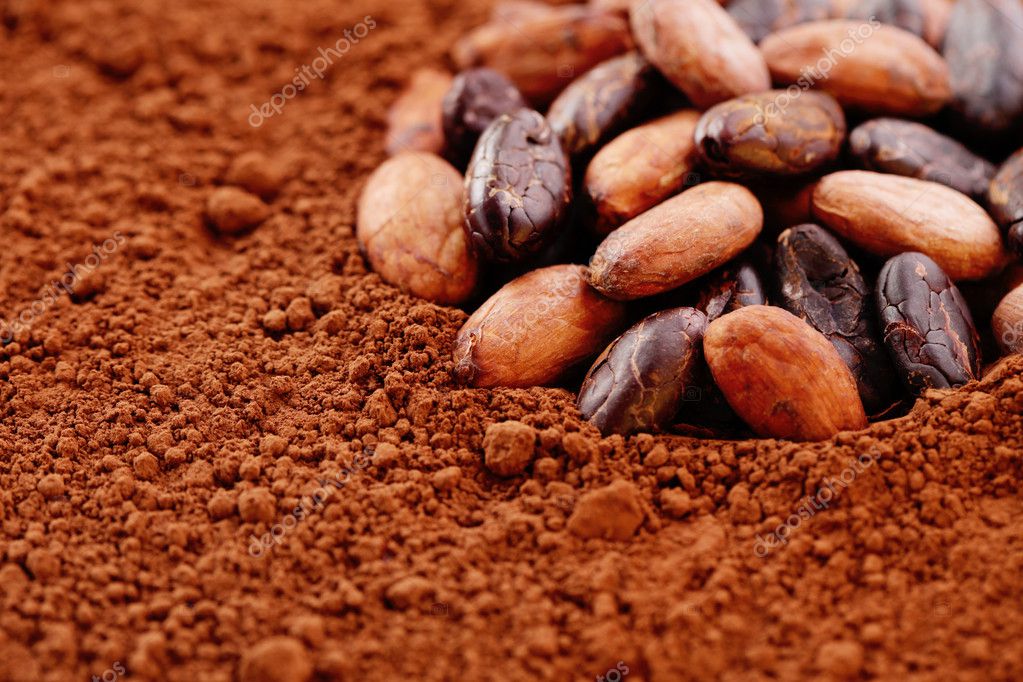 Cocoa beans Stock Photo by ©matka_Wariatka 47469325
