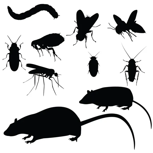 1,131 Rodent control Vector Images - Free & Royalty-free Rodent control ...