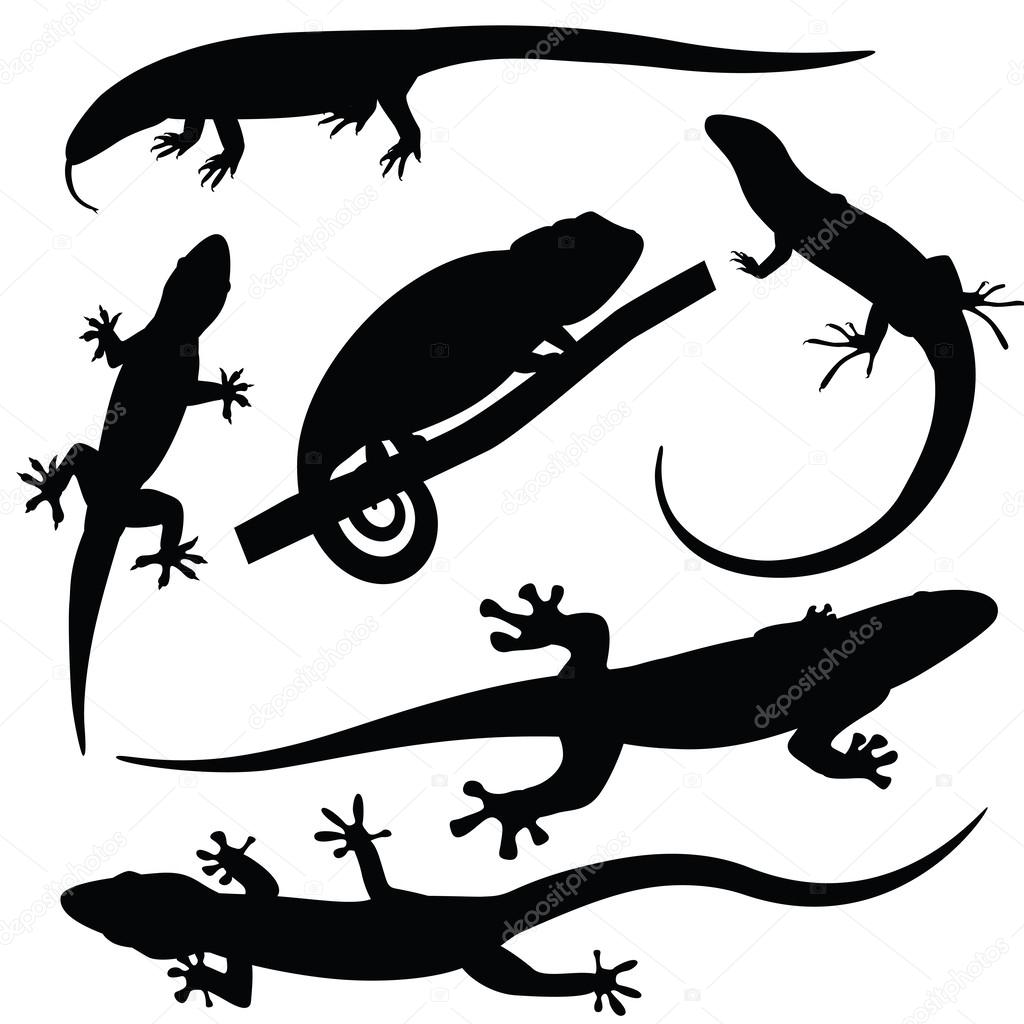 Set of lizards silhouettes, vector Stock Vector Image by ©wawritto ...