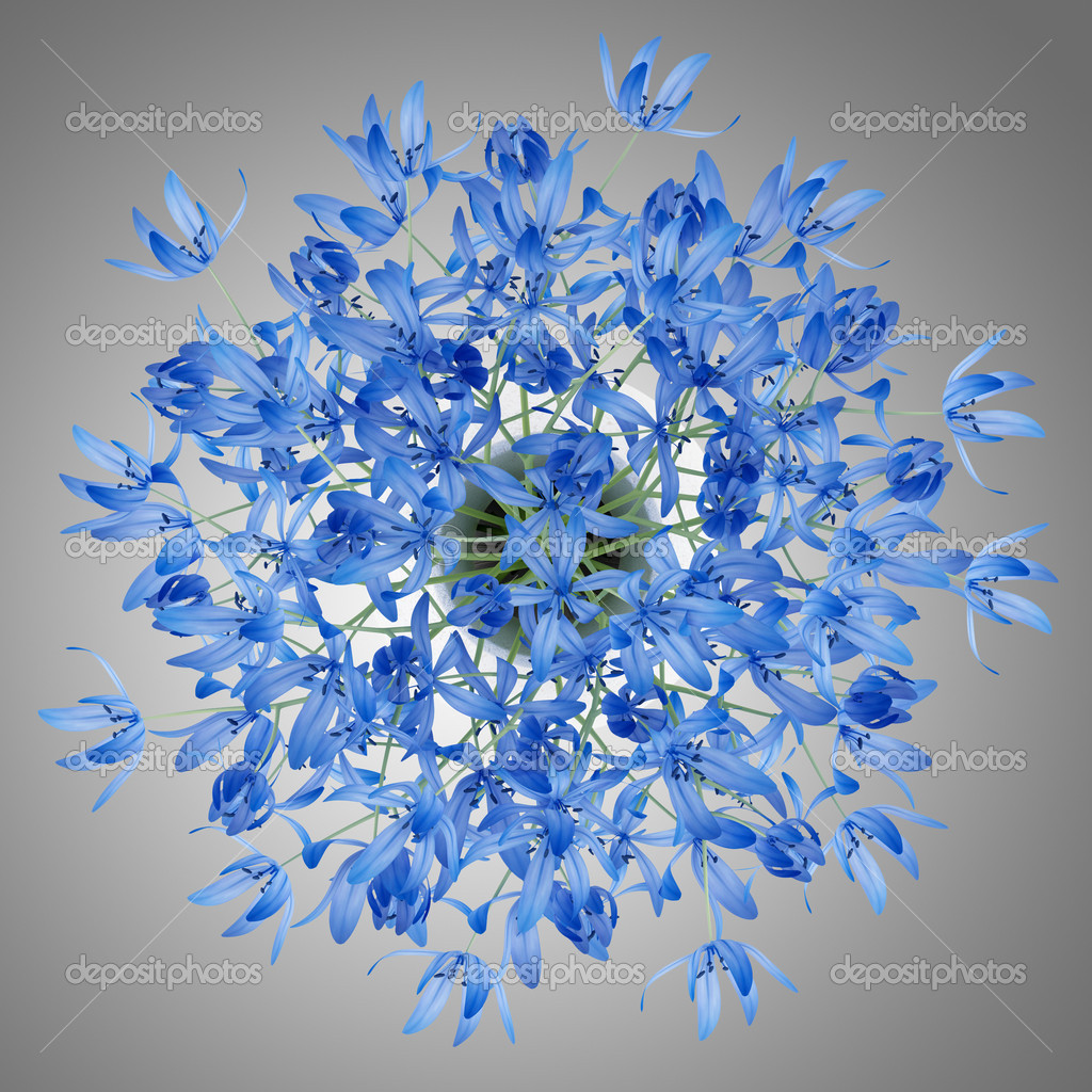 Flower Vase Top View