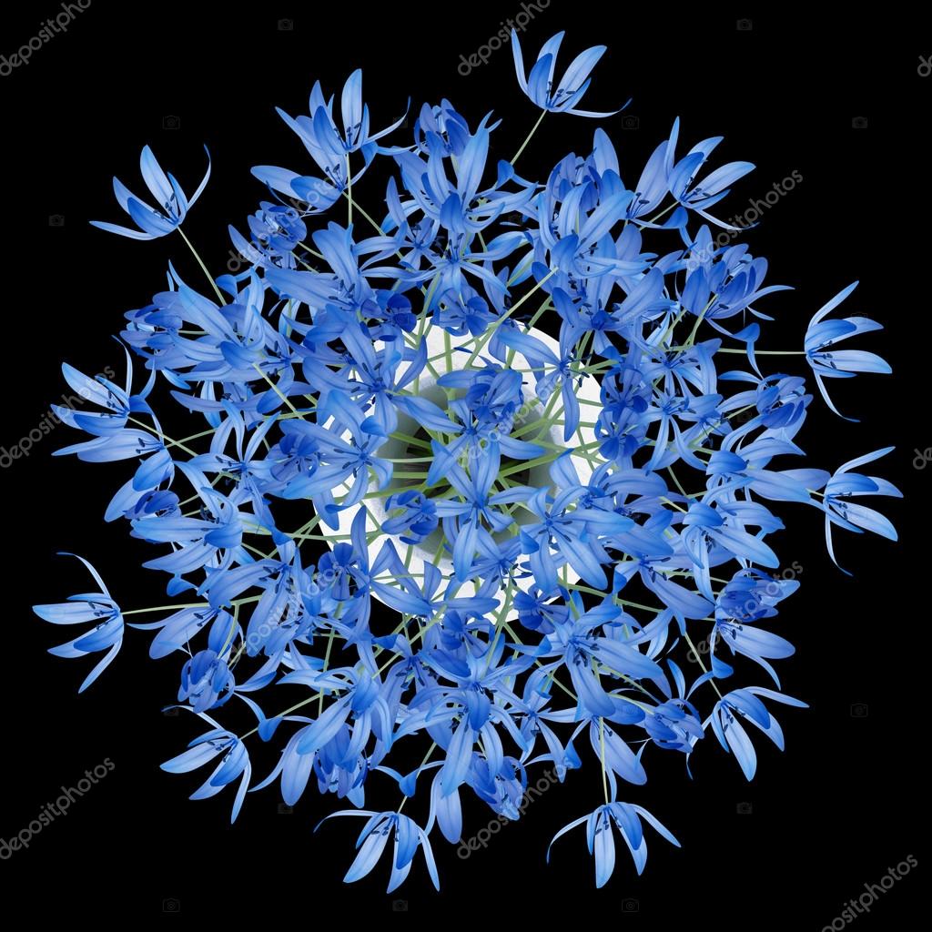 Top view of blue flowers in vase isolated on black background — Stock ...