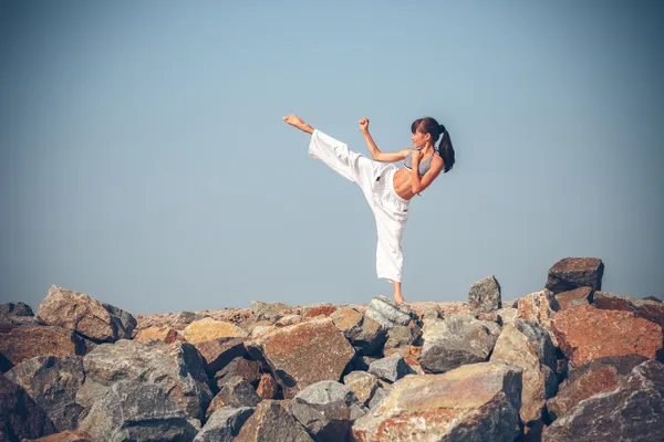 Karate shadow Stock Photos, Royalty Free Karate shadow Images ...