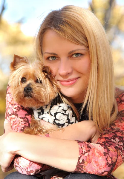 Yorkshire autumn Stock Photos, Royalty Free Yorkshire autumn Images ...