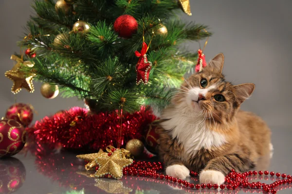 Animaux noel images libres de droit, photos de Animaux noel | Depositphotos