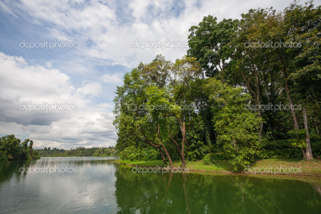 Upper Seletar Reservoir in Singapore – Stock Editorial Photo © Stas_K ...