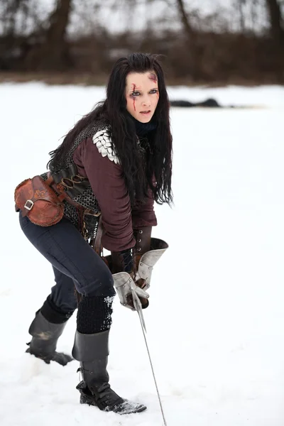 Lady knight Stock Photos, Royalty Free Lady knight Images | Depositphotos