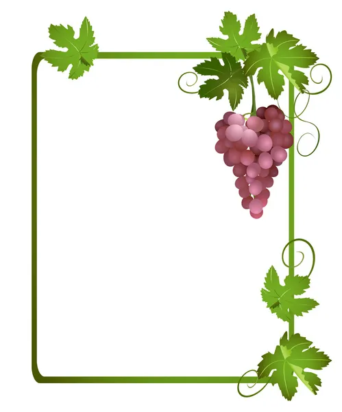 100,000 Grapes frame Vector Images | Depositphotos