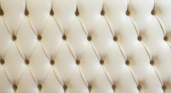 Ivory background Stock Photos, Royalty Free Ivory background Images ...