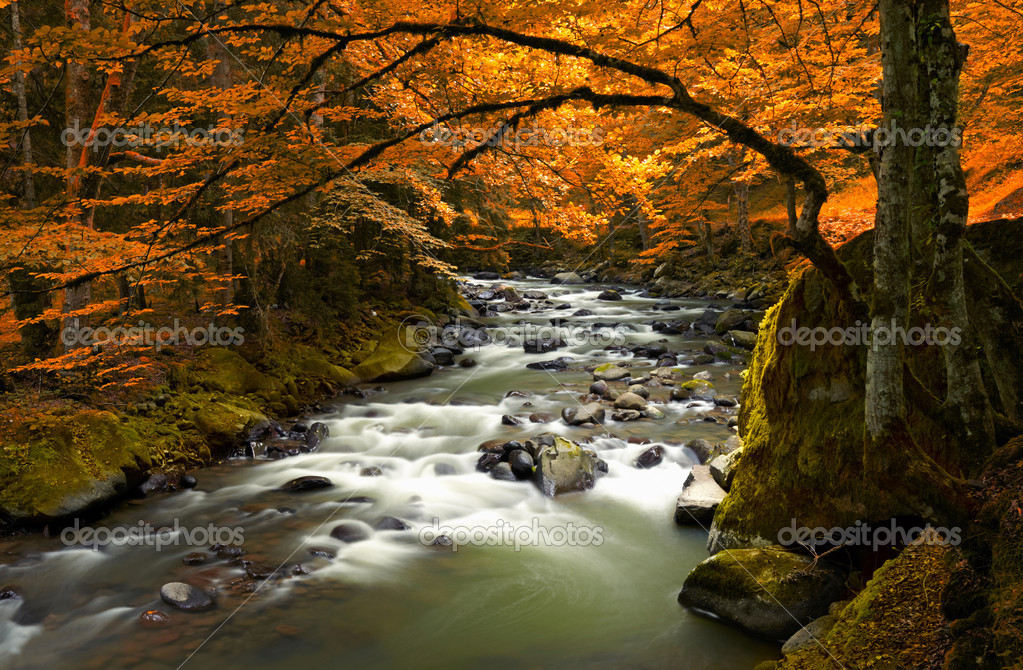 Autumn landscape with trees and river — Stock Photo © silverjohn #13845822
