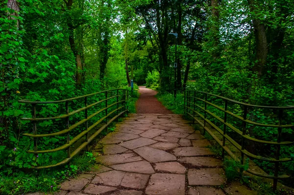Magical pathway Stock Photos, Royalty Free Magical pathway Images ...