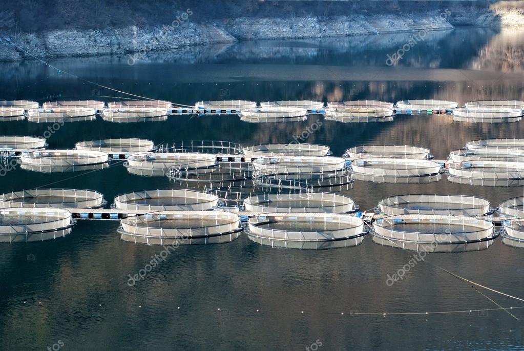 Fish farm Stock Photo by ©mitakag 38036721