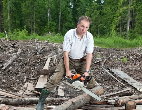 The man in wood saws a tree a chain saw - Stock Image - Everypixel