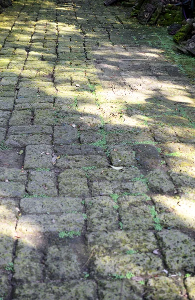 Split pathway Stock Photos, Royalty Free Split pathway Images ...