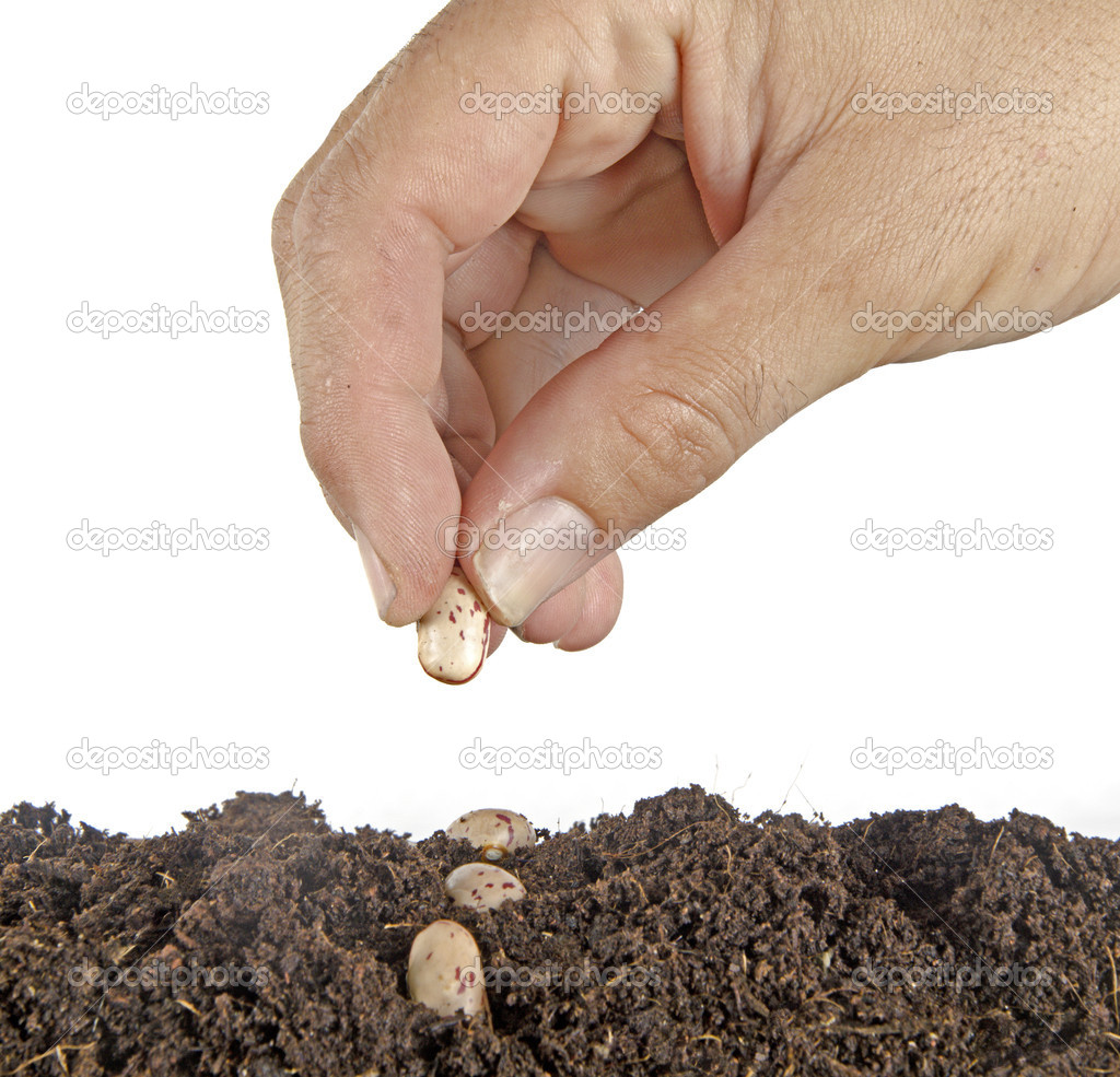 Seeding Stock Photo by ©vaeenma 25651225